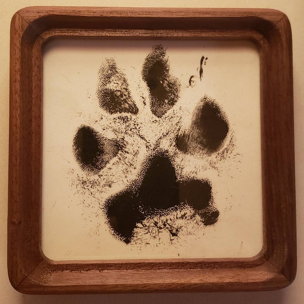 MOON- HSH Solid Walnut Photo Frame, Size From 4" to 10", Transparent ...