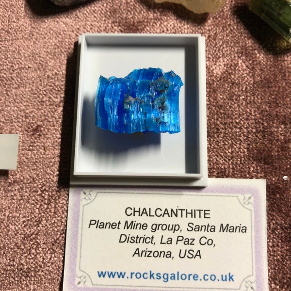 Rock Collection Gift Set | Assortment of Natural Fossils, Crystals ...