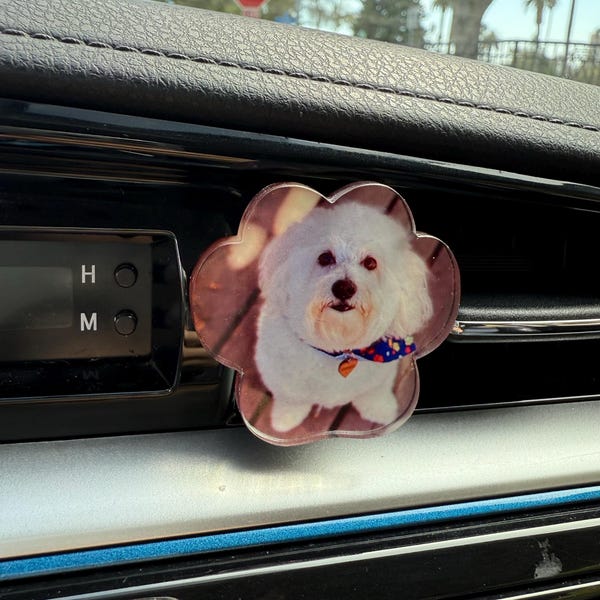 Checker Pet Tag - Customizable Dog ID With Retro Checkerprint Theme ...