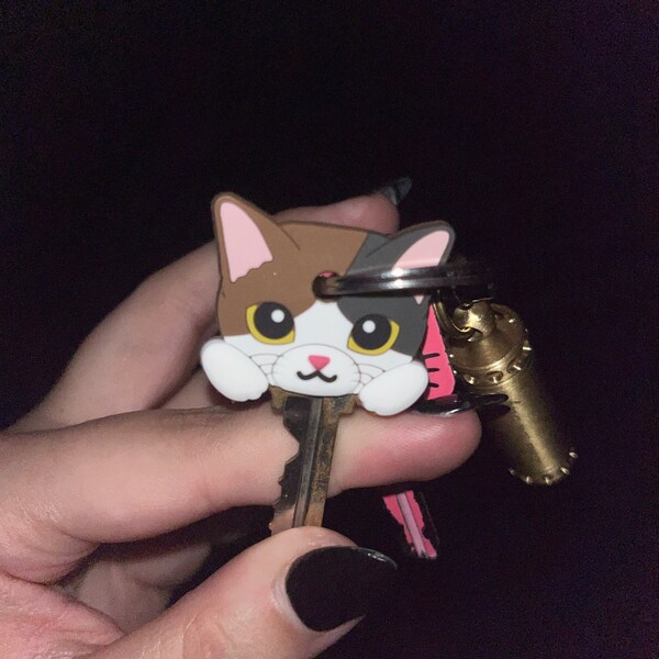 Cat Key Cover/ Key Identifier - Etsy