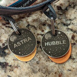 Luna Dog Tag Pet ID Tag Personalized Dog Tag Microchip Pet - Etsy