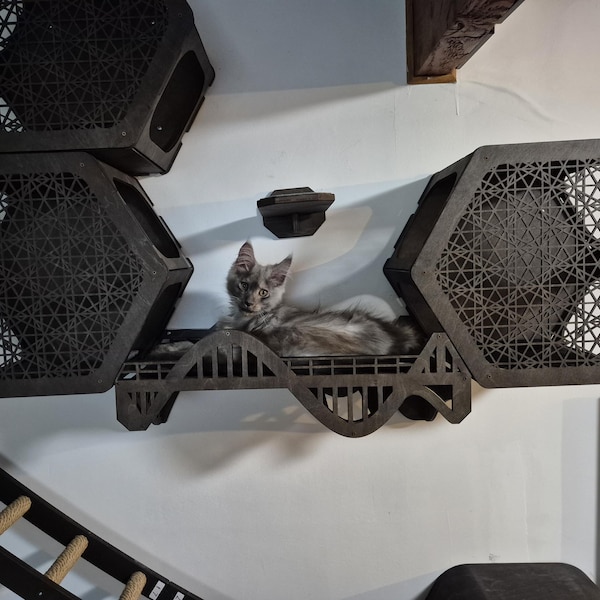 Modern Cat Wall Furniture, Cat Bed, Modern Cat Tree Wall, Hexagon Cat ...