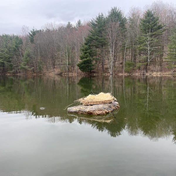 Extra Large Turtle Floating Island, Basking Platform, Faux Stone Pond ...