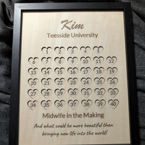 Cuterus Pin. Midwife ,midwifery Student Brooch Gift. - Etsy UK