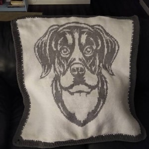 Harley-davidson Crochet Afghan Pattern Graph - Etsy