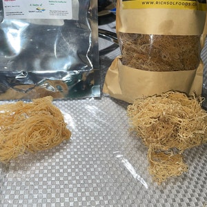 Jamaican Duck Flower Capsules Aristolochia Grandiflora Fresh Harvest ...