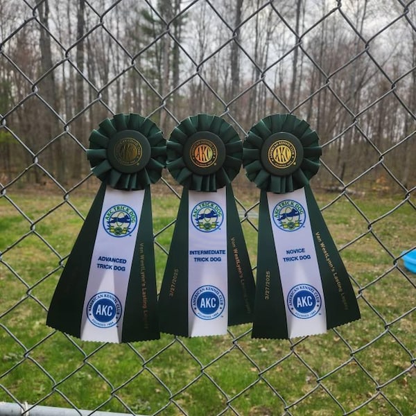 AKC Virtual Rally Title Ribbon Rosette - Novice, Intermediate, Advanced ...