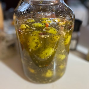 Fresh Dwarf June Plums 5 Lbs Always Freshly Picked Ready to Ship - Etsy