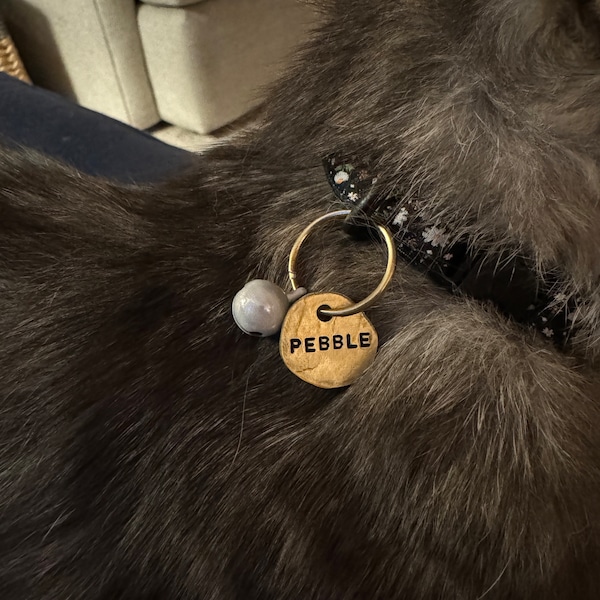 ROCCO: Hand Stamped Personalized Custom Pet ID Tags for Dogs and Cats ...