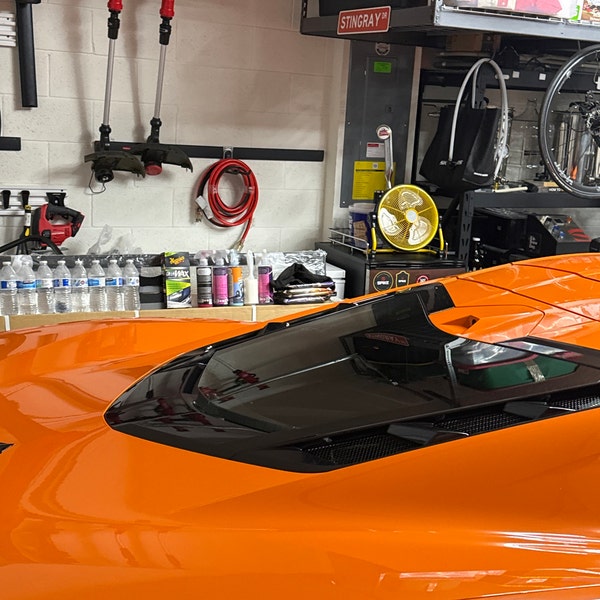 Stingray, Stingray Gift, Stingray Sign, Stingray Decor, Stingray Lover ...