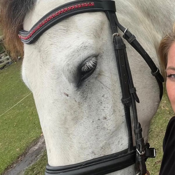 Navy Blue Velvet GP Saddle Pad Matchy Matchy Pony / Cob / Full / X Full ...