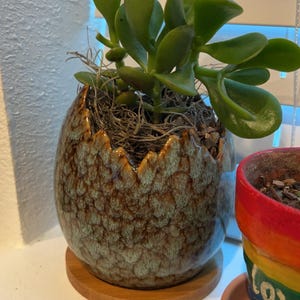 25 Painted 2 Clay Pot Set Pick Your Color DIY Projects, Wedding Favors ...