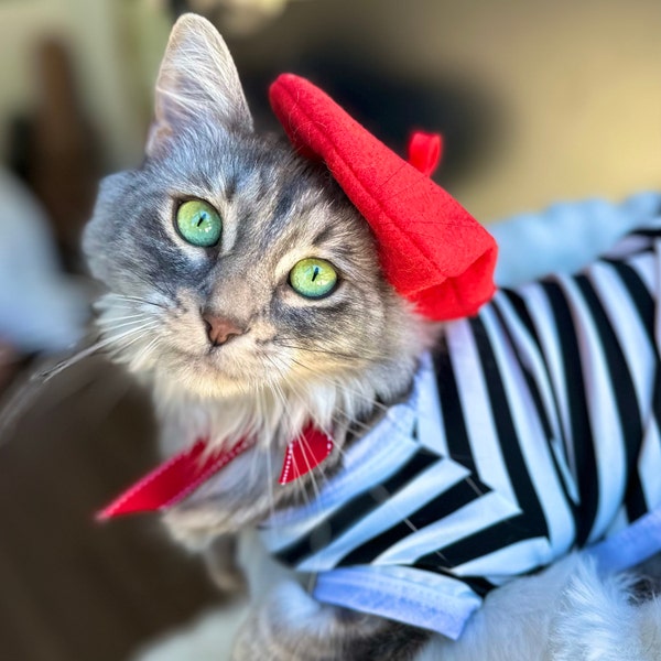 Complete French Cat Outfit- Cat Beret, Ascot and Striped Shirt Pet ...