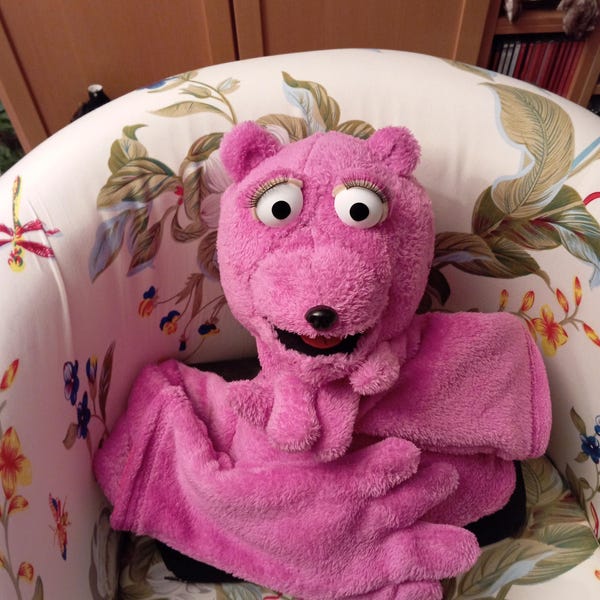 Sack Puppet Pattern + Build Guide - PDF Digital Download - Etsy