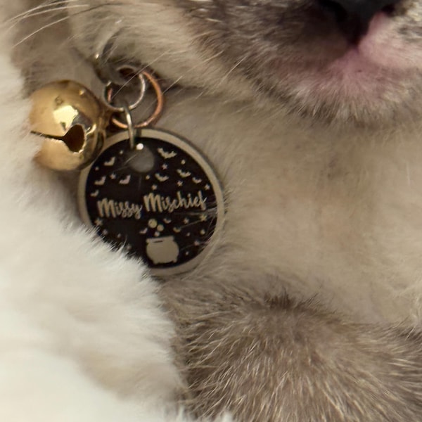 Saturn Shape Dog Tag, Planet, Space Pet ID Tag, Personalized Dog Tag ...