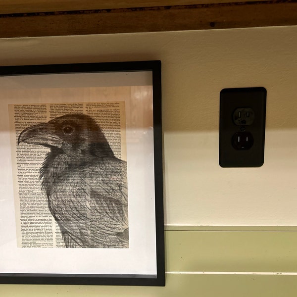 Western Rust Powder Coated Toggle, Rocker, Duplex, and Blank Round ...