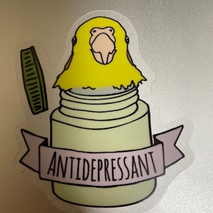 The Caiques Hoodie Funny Parody Hoodie Birb Memes Apparel | Etsy