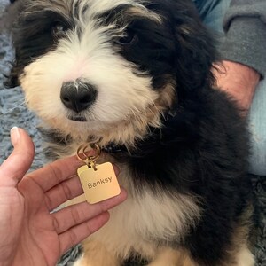 Dog Tag, Square Dog Tag, Brass Dog Tag, Pet ID Tags, Personalized Dog ...