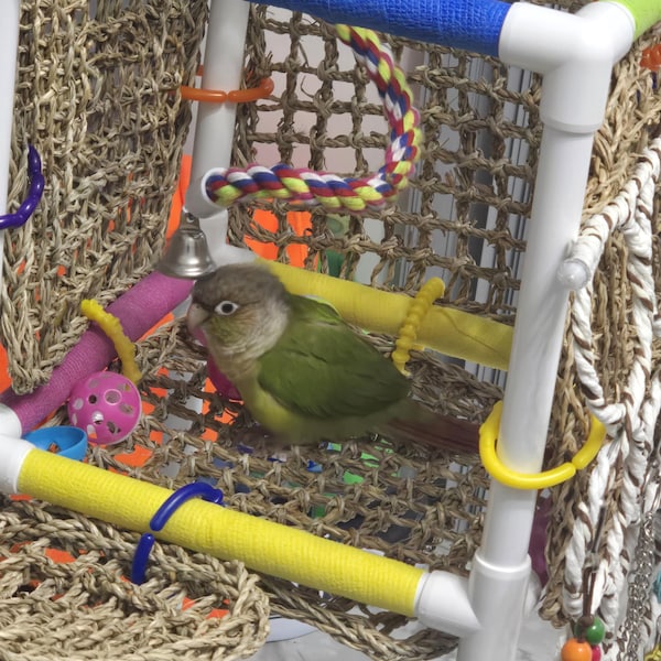 25 Closed Bird Leg Bands Aluminum Custom Laser Engraved in USA - Etsy