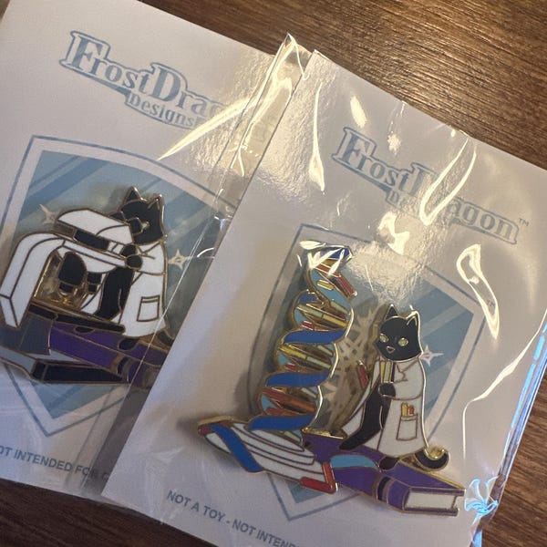 Raccoon With D20 Pin Trash Rolls RPG Pin Hard Enamel Pin - Etsy