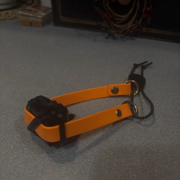 Limited Slip 5/8" Biothane Grooming Loop, Custom Colors & Metals - Etsy