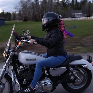 Biker Braids, Red Black, Rave Braid, Helmet Ponytail, Helmet Flair ...