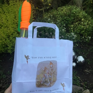 10 Peter Rabbit Party Bags, Peter Rabbit Easter Gift Bags, White Bags ...