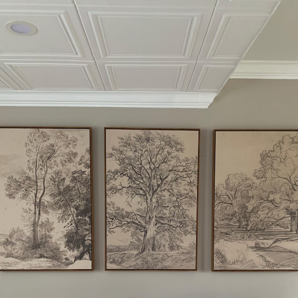 Framed Canvas Tryptic Wall Art Set, Abstract Forest Tree Art Prints ...