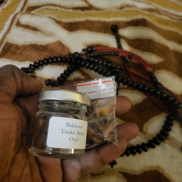 Onycha-operculum Hard - Operculum Shells, Sea Shells, Devils Nails ...