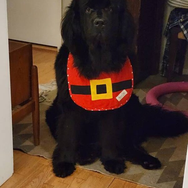 Christmas Santa Bib Giant Big Dog Drool Bib Dog Bib Newfoundland Newfie ...