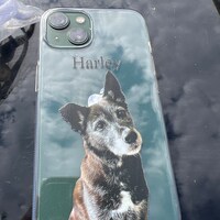 Personalised CLEAR OPAQUE FLORAL Font Phone Case Cover for iPhone 14 13 ...