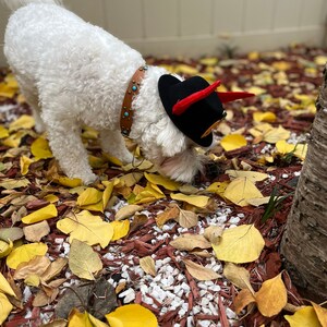 Sundance Shearling Dog Jacket so Boho Chic in Black - Etsy