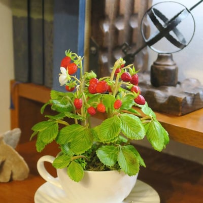 Fragrant Peas-polymer Clay Flower Arrangement-cold Porcelain-real Touch ...