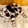 Realistic Tarantula Spider Poseable Shelf Decor Wall Mountable Faux ...