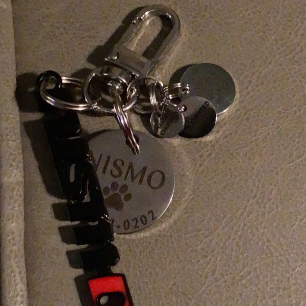 Microchip Dog Tag, Custom Dog Tag, Microchipped, Pet Tag, Dog ID Tag ...