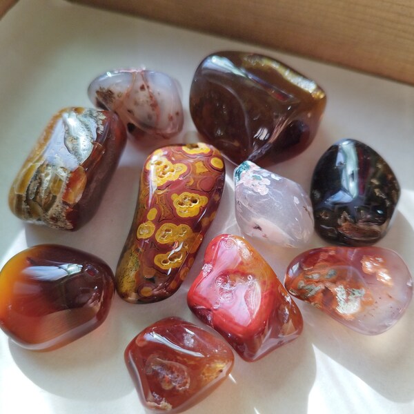Wild Iris Thunderegg Polished Display Piece - Etsy