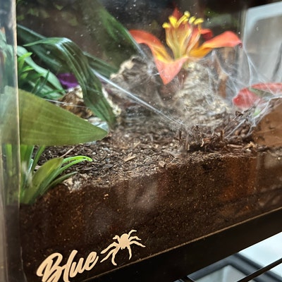 Mouse Hanging Hammock for Small Animals Cage Hammock for Multiple Mice ...