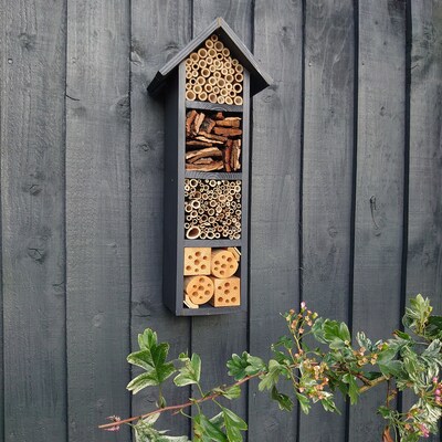 Bee and Insect Hotel, Three Tier, in 'wild Thyme'. Can Be Personalised ...