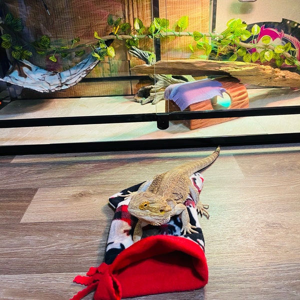 Sugar Glider Halloween Mobile, Lots of Activities, Sugar Gliders ...