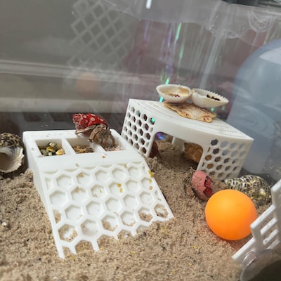 Hermit Crab Food Dish Platform, Hermit Crab Decoration, Hermit Crab ...