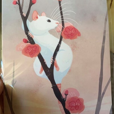 Peach Blossom Rat 8x12 Year of the Rat Art Print - Etsy