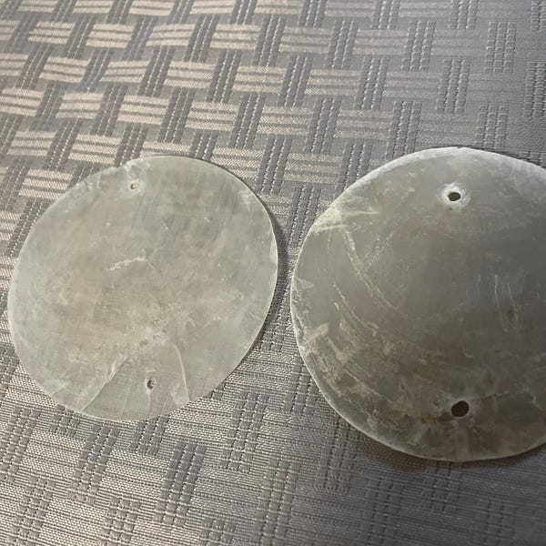 Real Jungle Mud Starfish Orange Brown Amber Color 1 to 3 Pcs 2 to 4 1/2 ...