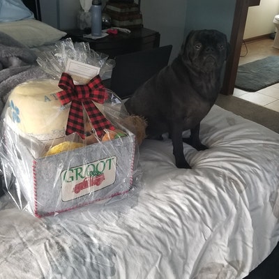 Custom Dog/cat Gift Baskets for Any and All Occasions - Etsy