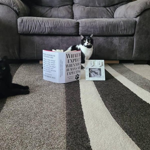 ABC A-Z Alphabet Handprint Craft / Phonic Memory Book / Hand ...