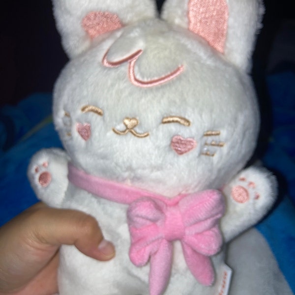 Mochi Chonky Bunny Plush | Kawaii Bunny, Cute Plush, Bunny Plushie ...