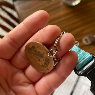 Custom Pet ID / Dog Name Disc/name Tag/dog Tags for - Etsy