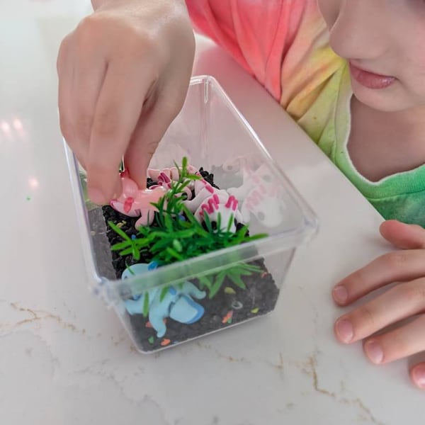 Animal Terrarium or Aquarium Kit - Etsy