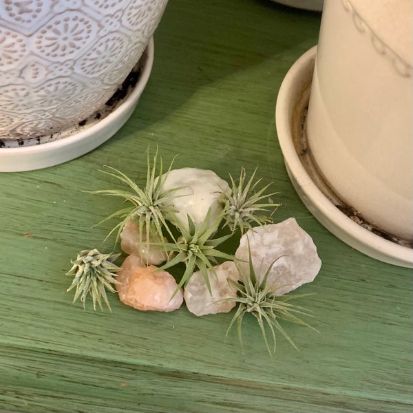 Mini Altar Tins With 20-minute Meditation Candles - Etsy