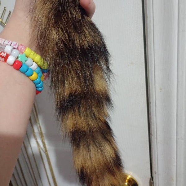 Raccoon Tails | Raccoon Tail Keychain | Taxidermy Keychain | Raccoon ...
