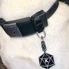 Fi Series 2 Collar Adapter - Etsy